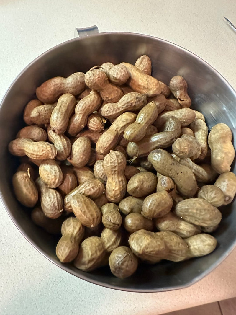 Homemade Boiled Peanuts Kit - Save $12. (6 Bags) - Boil-The-Bag Peanuts
