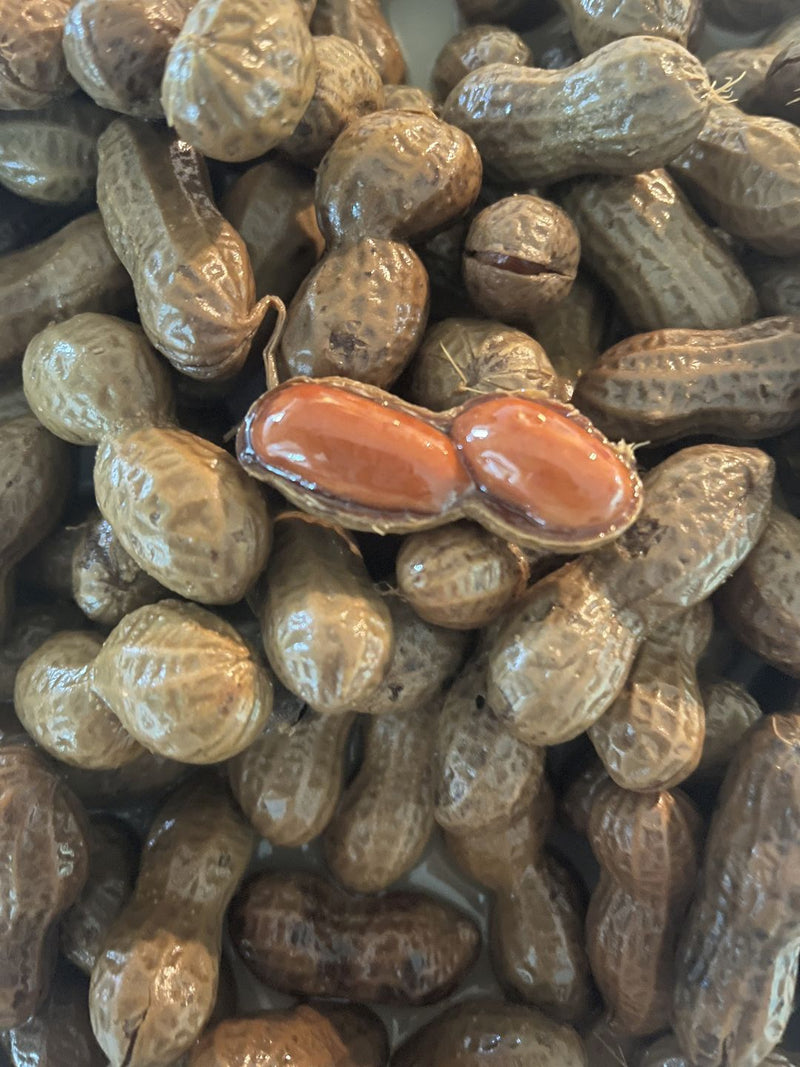 Easy at home boiled peanuts (2 Bags) - Boil-The-Bag Peanuts